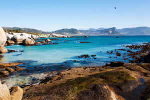 Cape Point - 15 Interesting Facts - Oceans Around Us