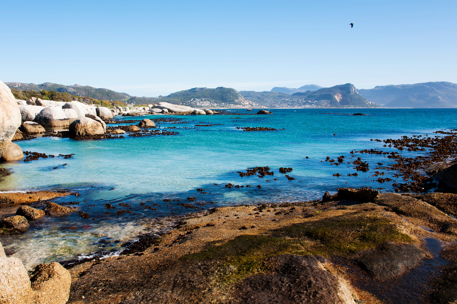 Cape Point - 15 Interesting Facts - Oceans Around Us